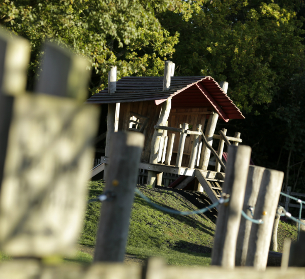 Fineshade Woods Northamptonshire